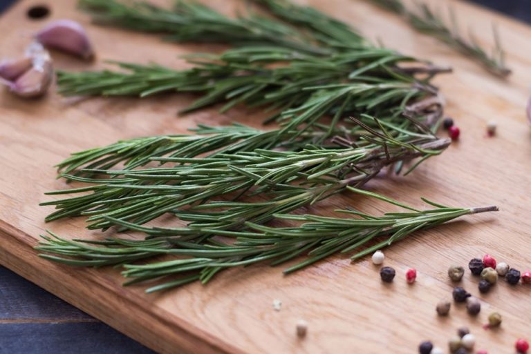 Comment cuisiner avec du romarin ? - Épices Review