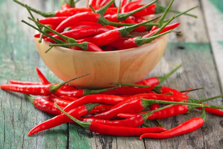 Quelles sont les différentes variétés de piments ? - Épices Review