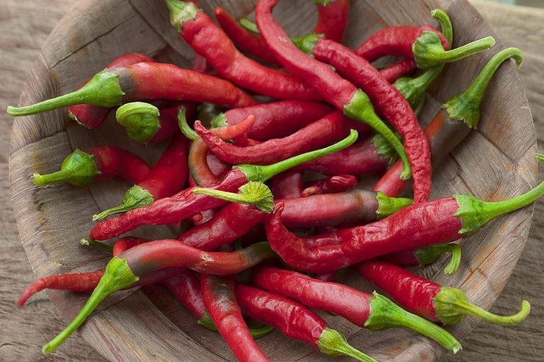 Quelles sont les différentes variétés de piments ? - Épices Review