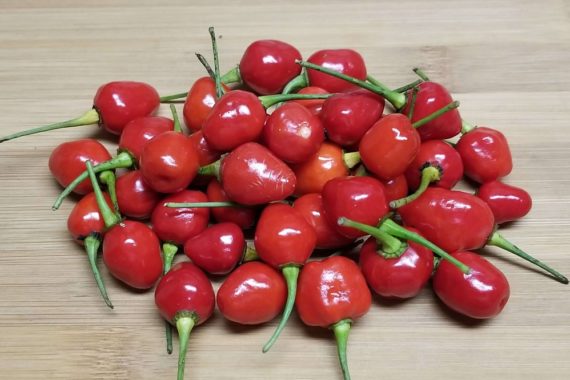 Quelles sont les différentes variétés de piments ? - Épices Review