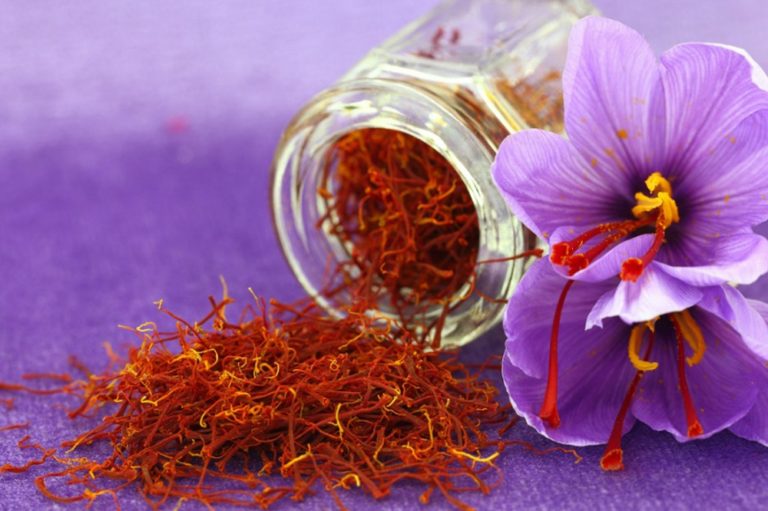 Pourquoi le safran coûte-t-il si cher ? - Épices Review