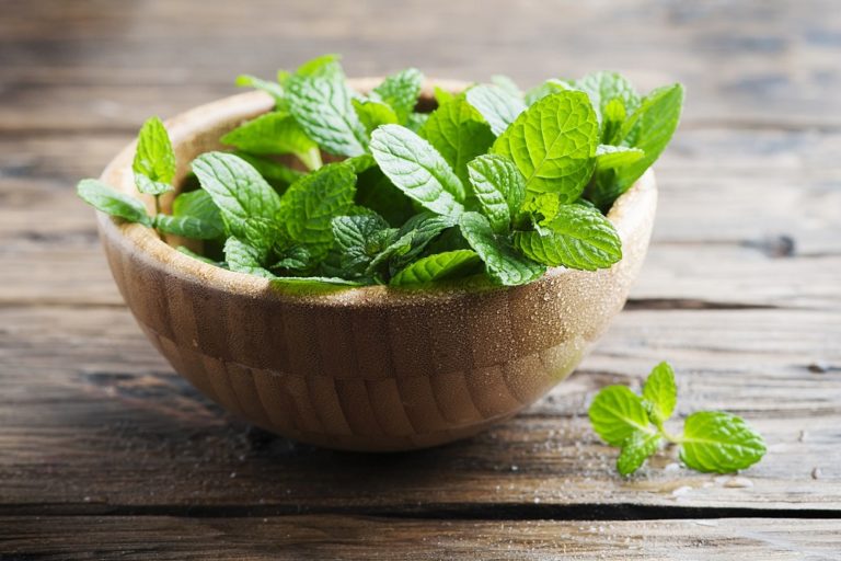 Qu'est-ce que la menthe verte ? - Épices Review