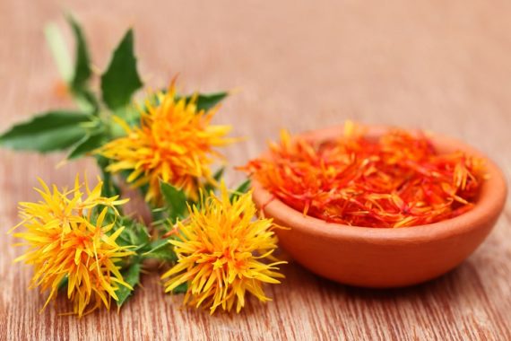 Qu'est-ce que le carthame ? - Épices Review