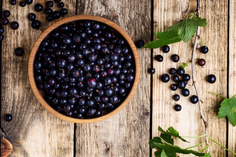 Comment faire sécher des cassis ? - Épices Review