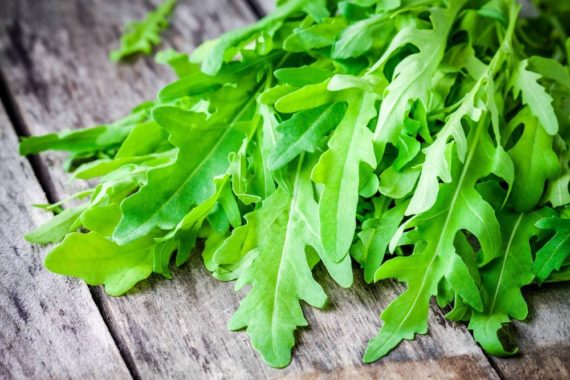 Comment faire de l'huile de roquette ? - Épices Review